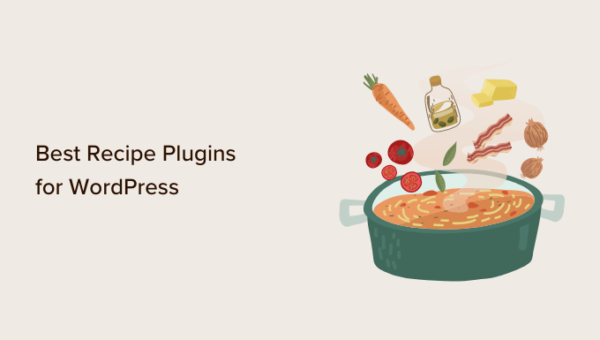 9 Best Recipe Plugins for WordPress (Free and Paid) | SellingsVibe